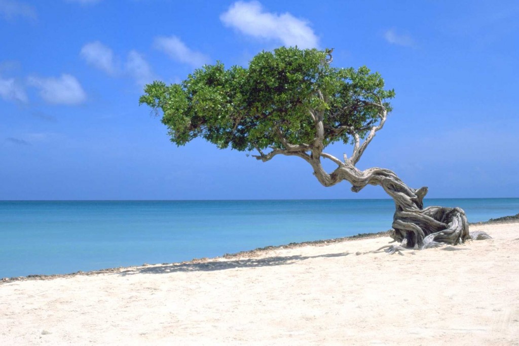 Most Beautiful Beaches Of Aruba – Travel Around The World – Vacation ...