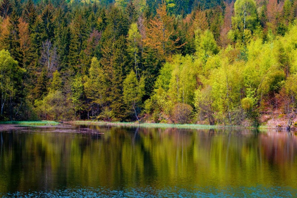 Vacation in Czech Republic, The Heart Of Europe – Travel Around The ...